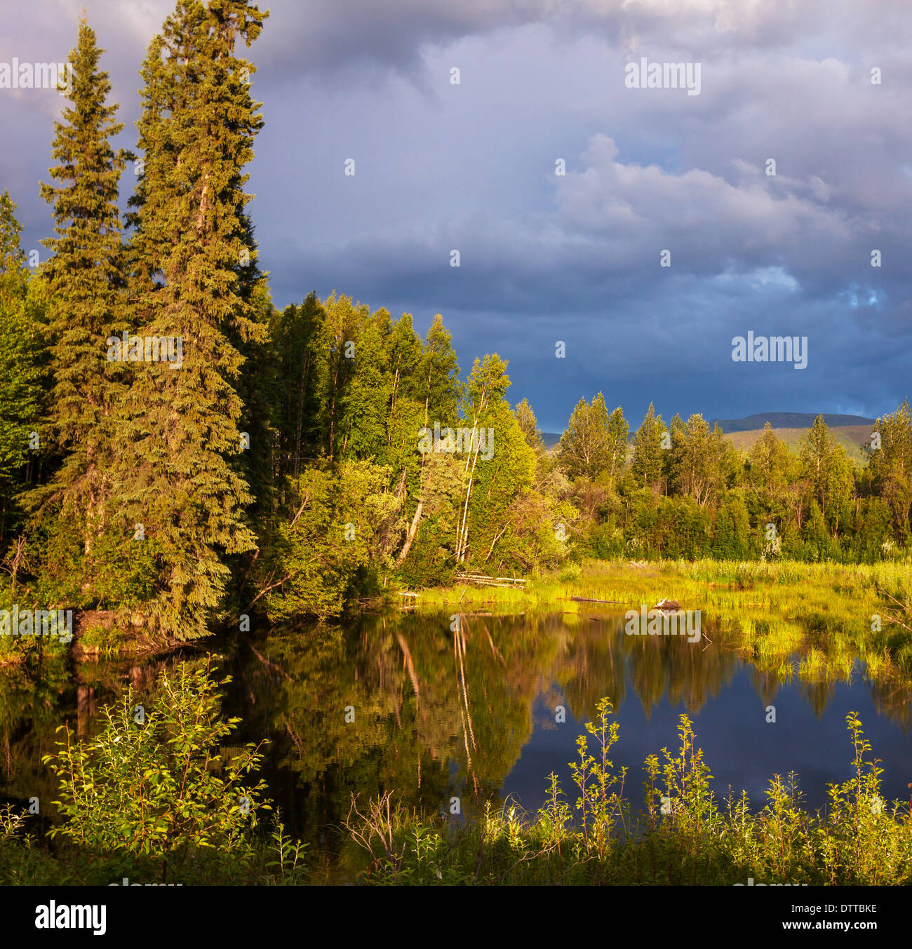 Lake on Alaska Stock Photo - Alamy