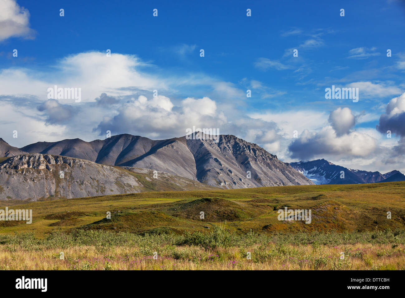 Tundra arctic landscape alaska hi-res stock photography and images - Alamy