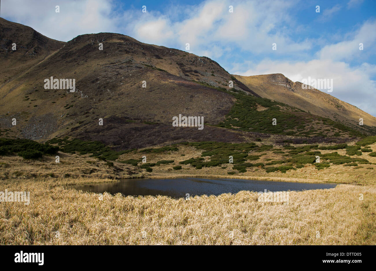 Oval lake at the foot of the mountain Stock Photo - Alamy
