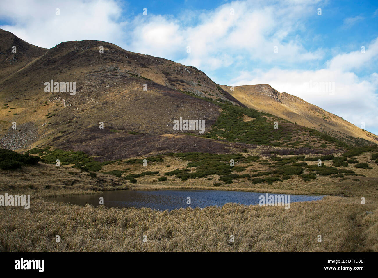 Oval lake hi-res stock photography and images - Alamy
