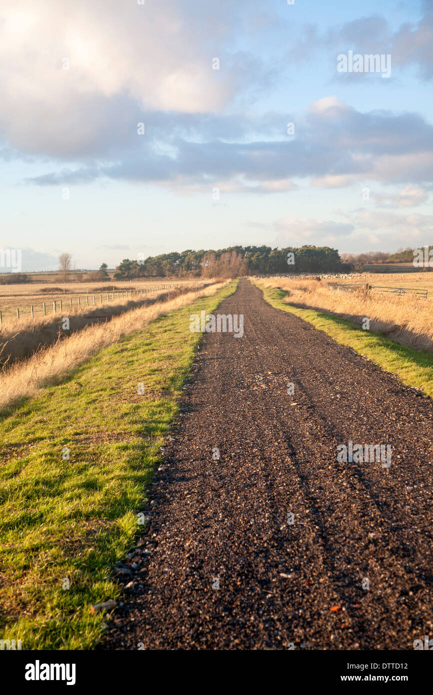 Unsurfaced dark coloured track disappearing into the distance at ...
