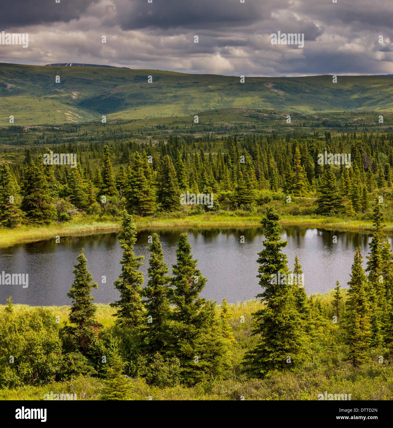 Lake on Alaska Stock Photo - Alamy