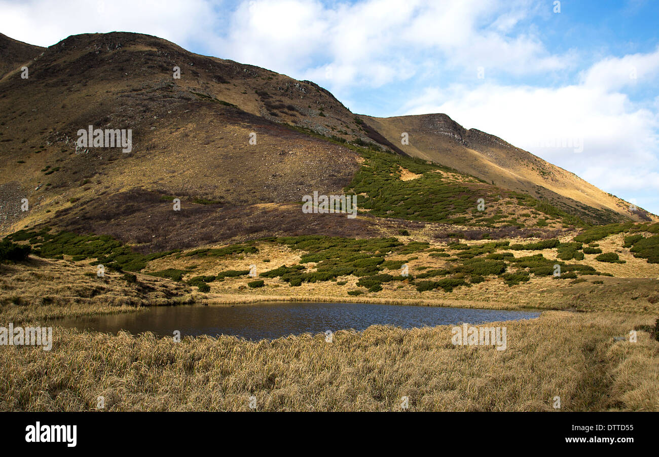 Oval lake at the foot of the mountain Stock Photo - Alamy