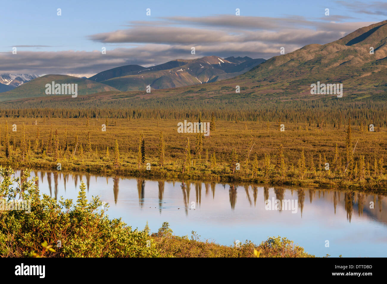 Lake on Alaska Stock Photo - Alamy