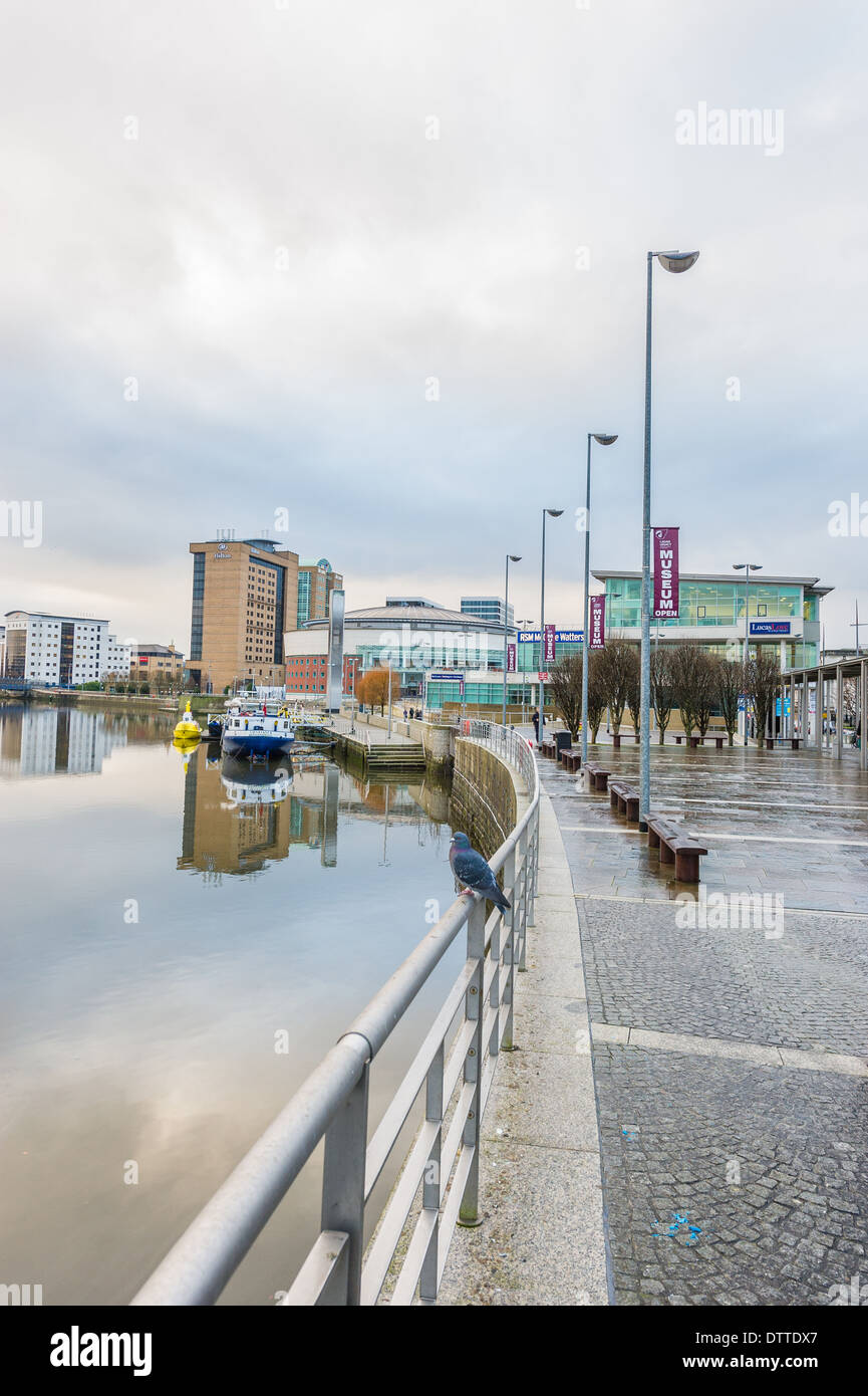 Buildings belfast waterfront hi-res stock photography and images - Alamy