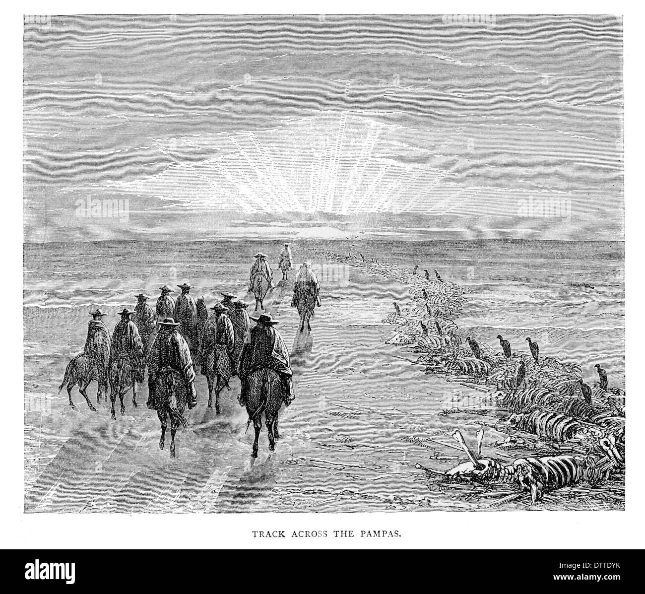 Across desert Black and White Stock Photos & Images - Alamy