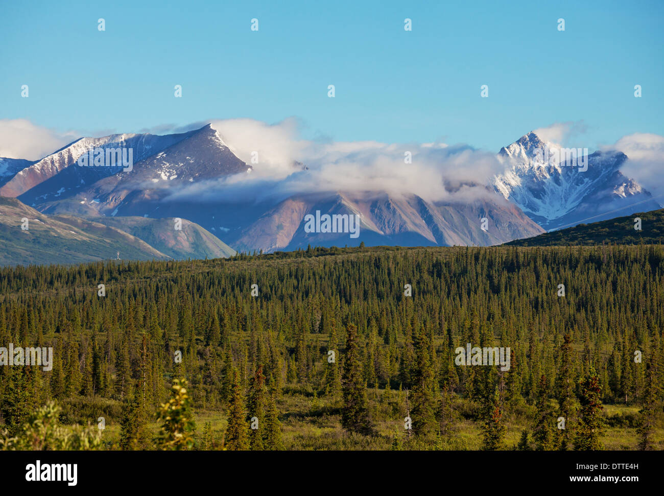 Alaskan terrain hi-res stock photography and images - Alamy