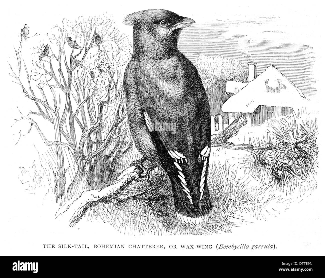 Color pencil wax Black and White Stock Photos & Images - Alamy