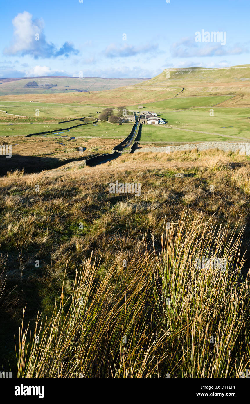 Raydale hi-res stock photography and images - Alamy