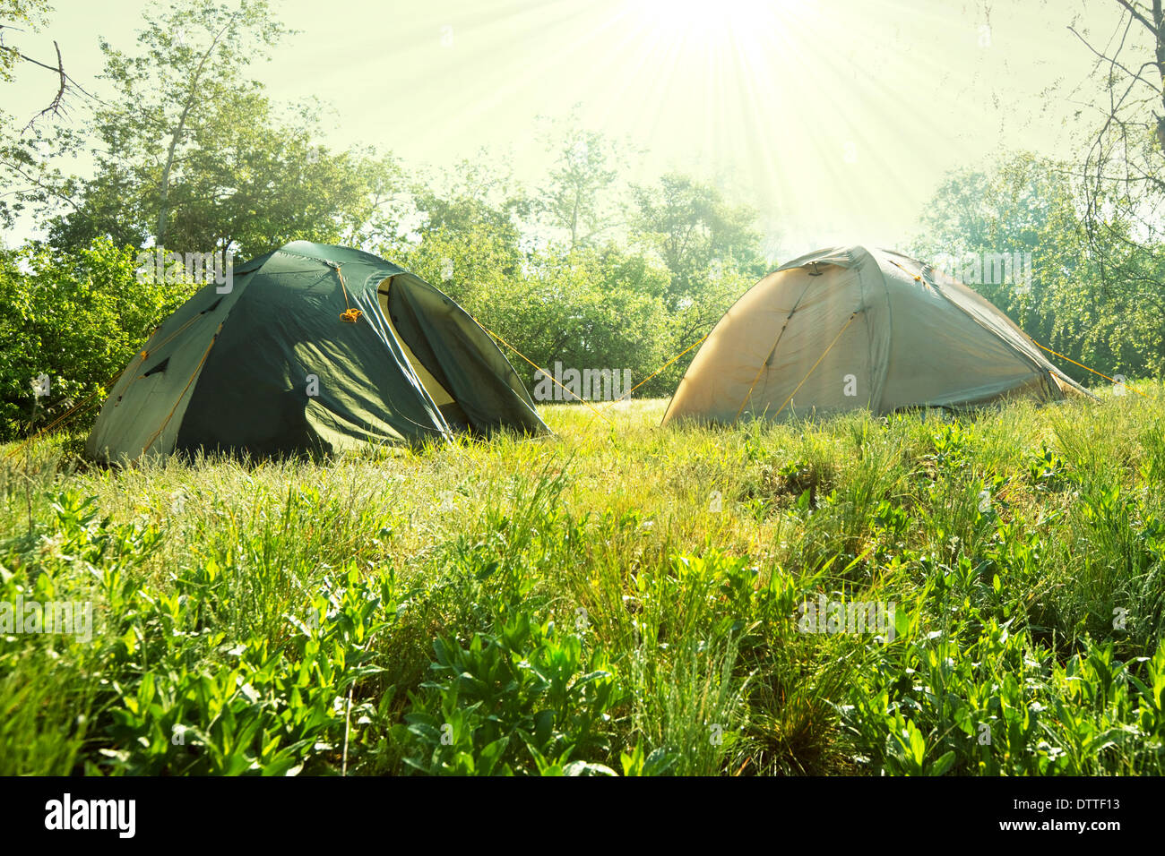 Tent on grassland Stock Photo - Alamy