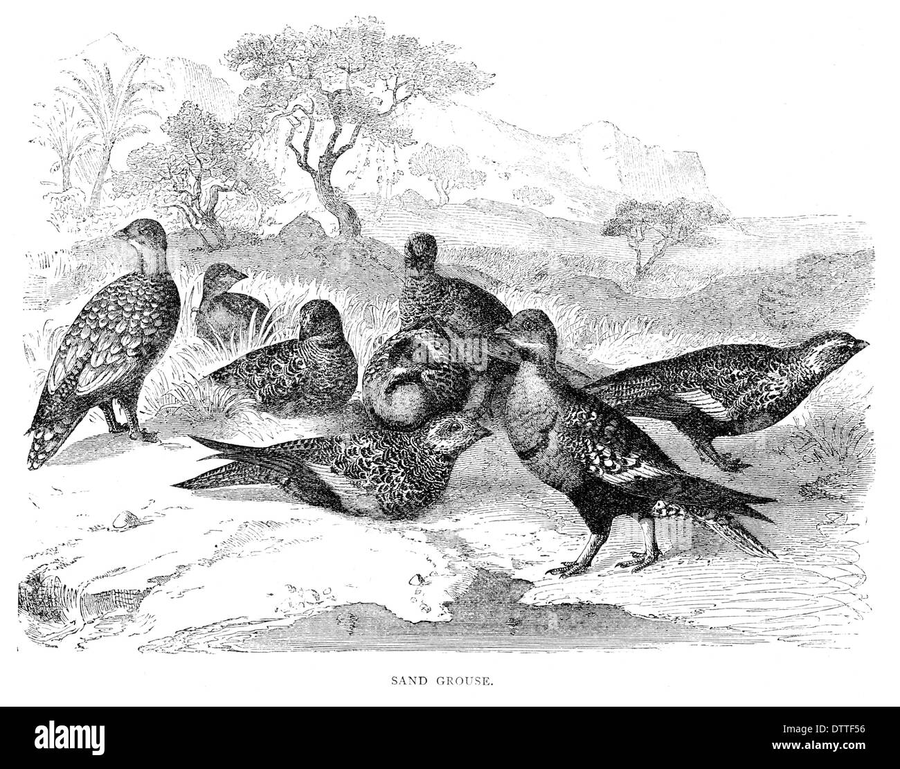 Victorian sand painting hi-res stock photography and images - Alamy