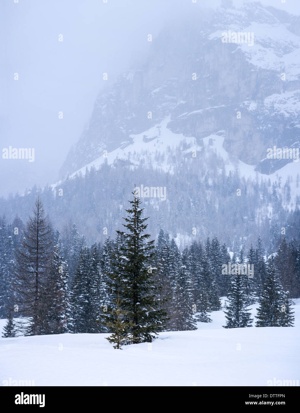 Dolomitic scenery hi-res stock photography and images - Alamy