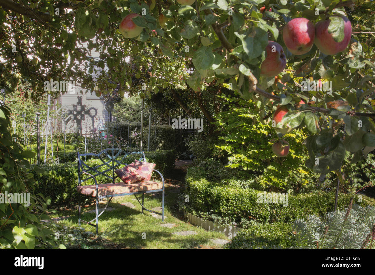 Seat under tree garden hi-res stock photography and images - Alamy