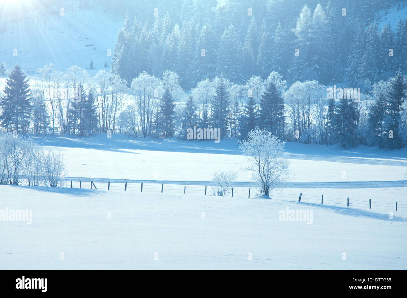 Winter in Alp mountains Stock Photo - Alamy