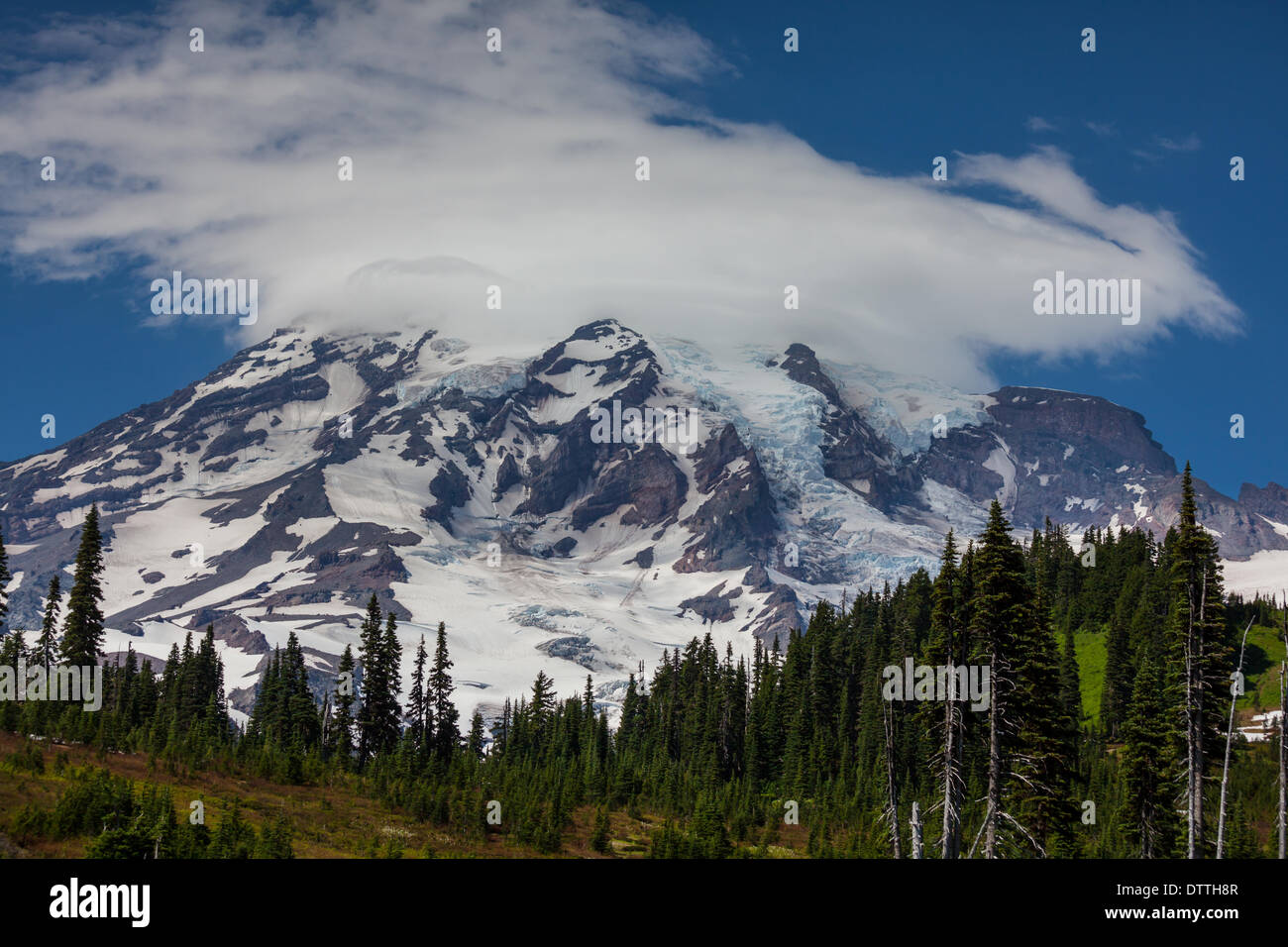 Mt raineer national park hi-res stock photography and images - Alamy