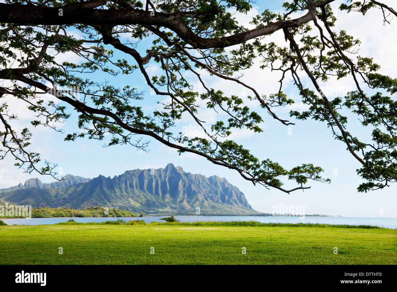 Hawaii green hi-res stock photography and images - Alamy