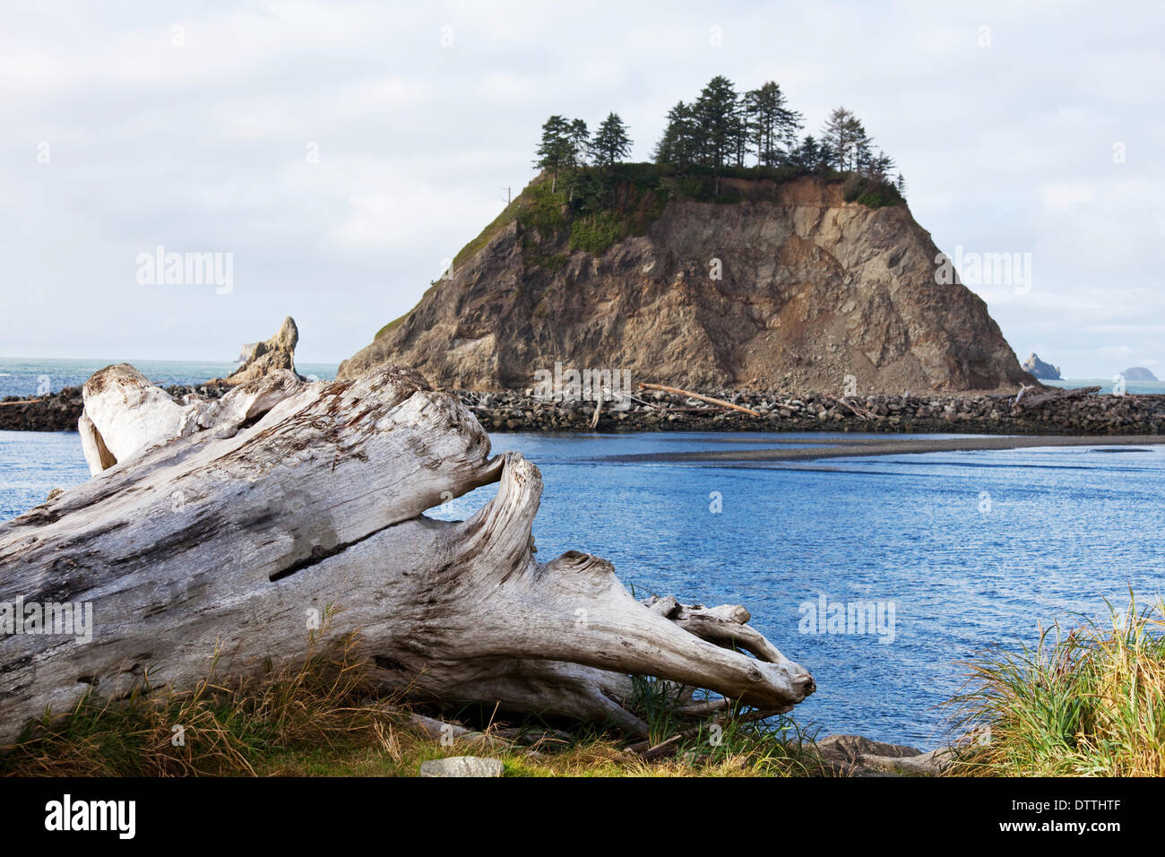 Olympic coast hi-res stock photography and images - Alamy