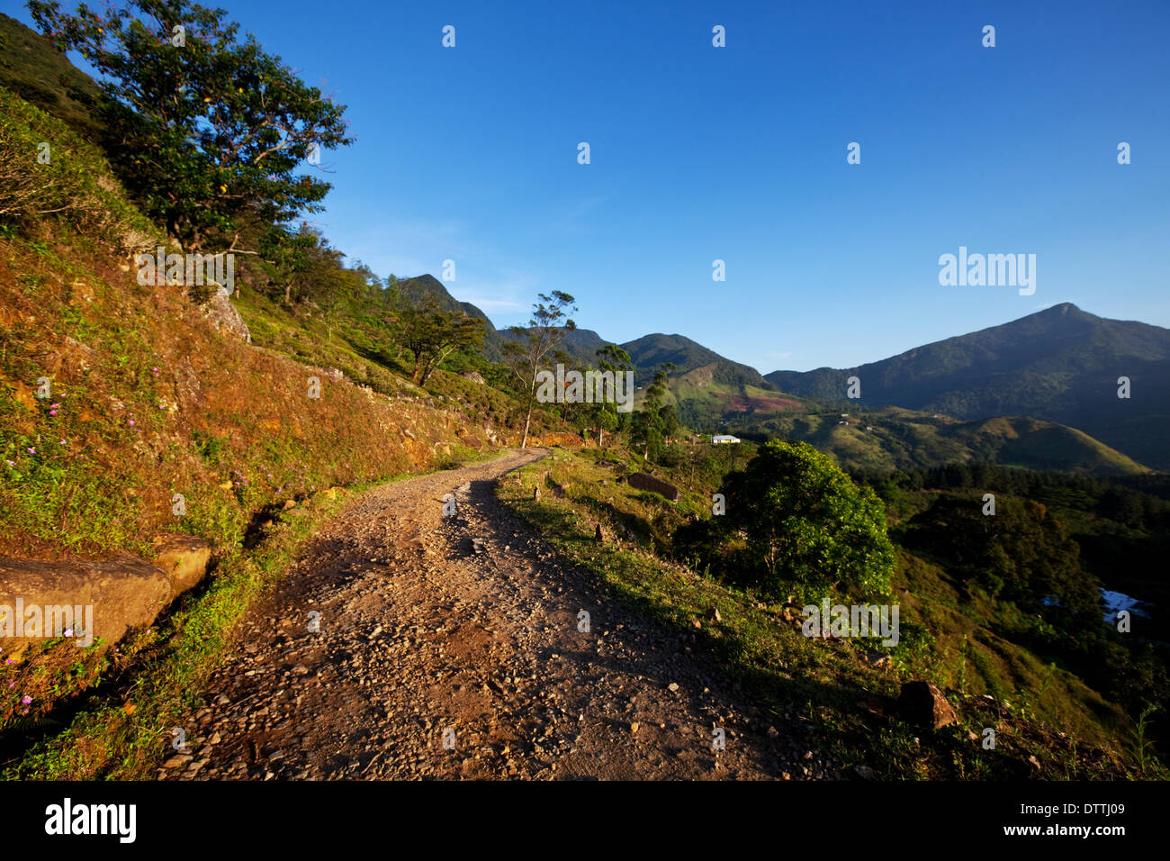 Sri lanka landscapes hi-res stock photography and images - Alamy