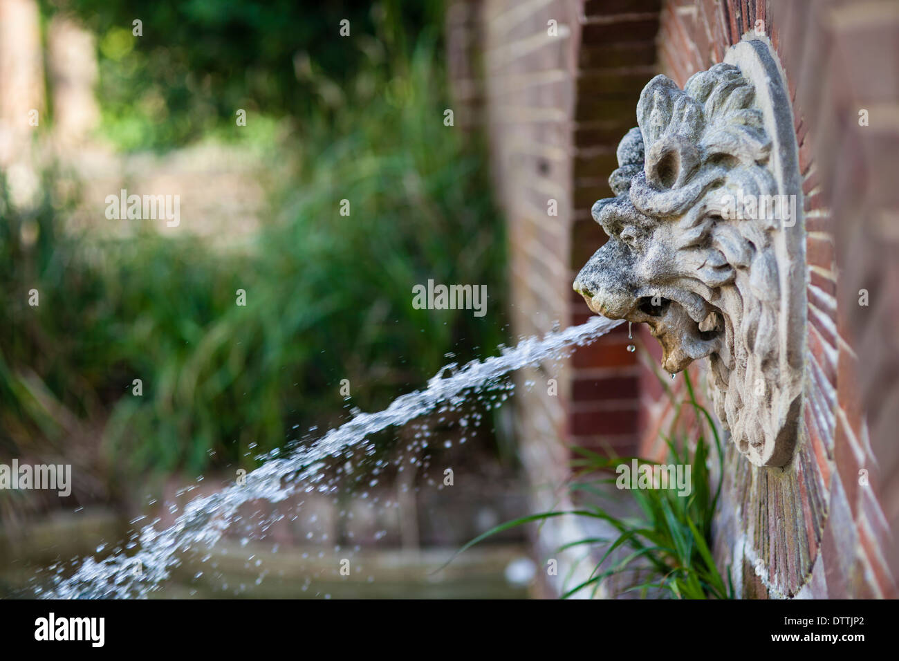 Sandford hi-res stock photography and images - Alamy