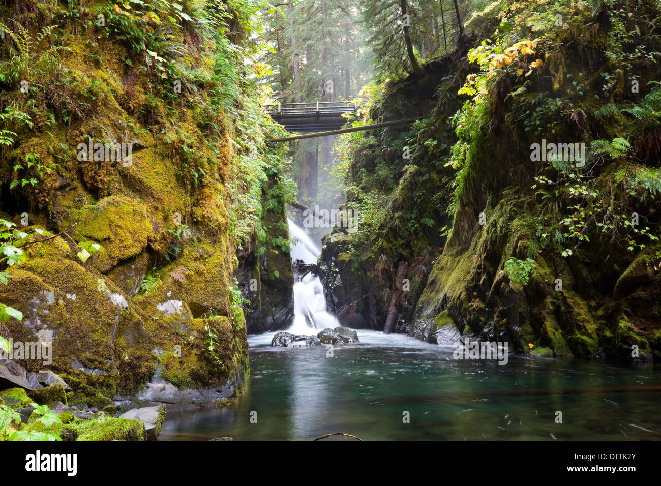 Sol duc wilderness hi-res stock photography and images - Alamy