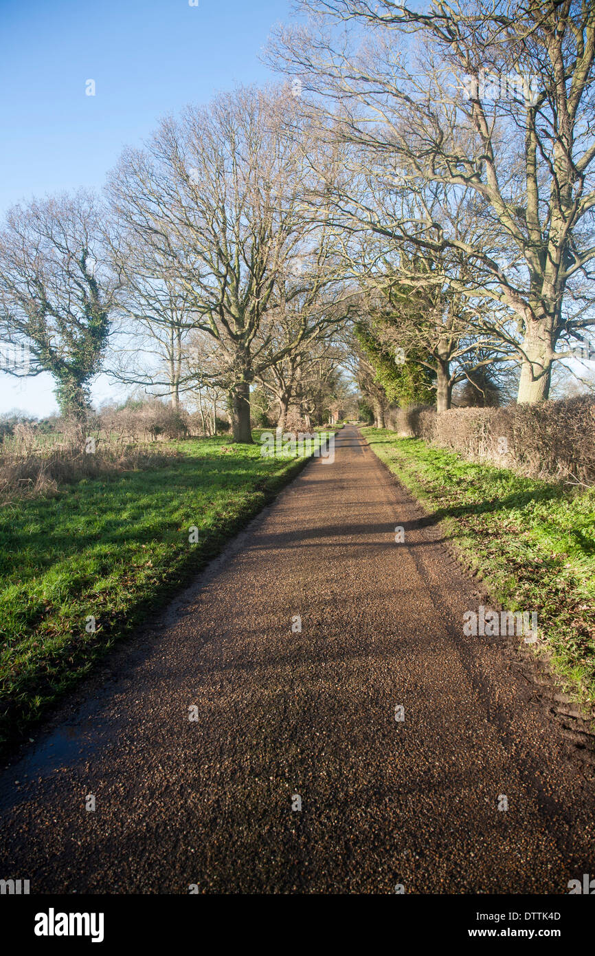 Landscape of long straight path passing tree in winter hi-res stock ...