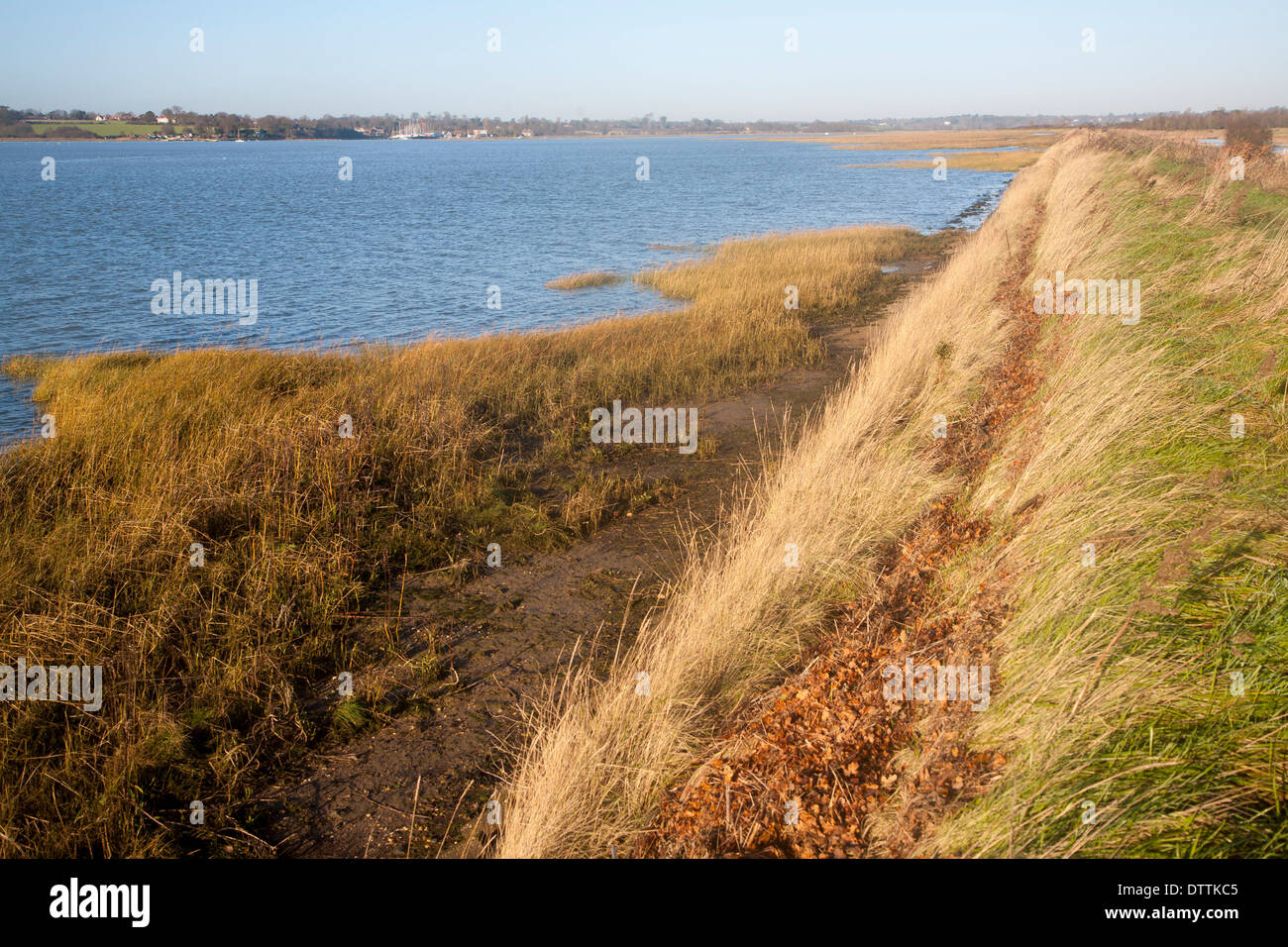 Flood defence embankment on the River Deben, Sutton, Suffolk, England ...