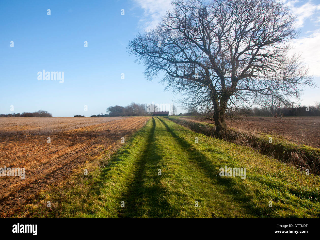 Landscape of long straight path passing tree in winter hi-res stock ...