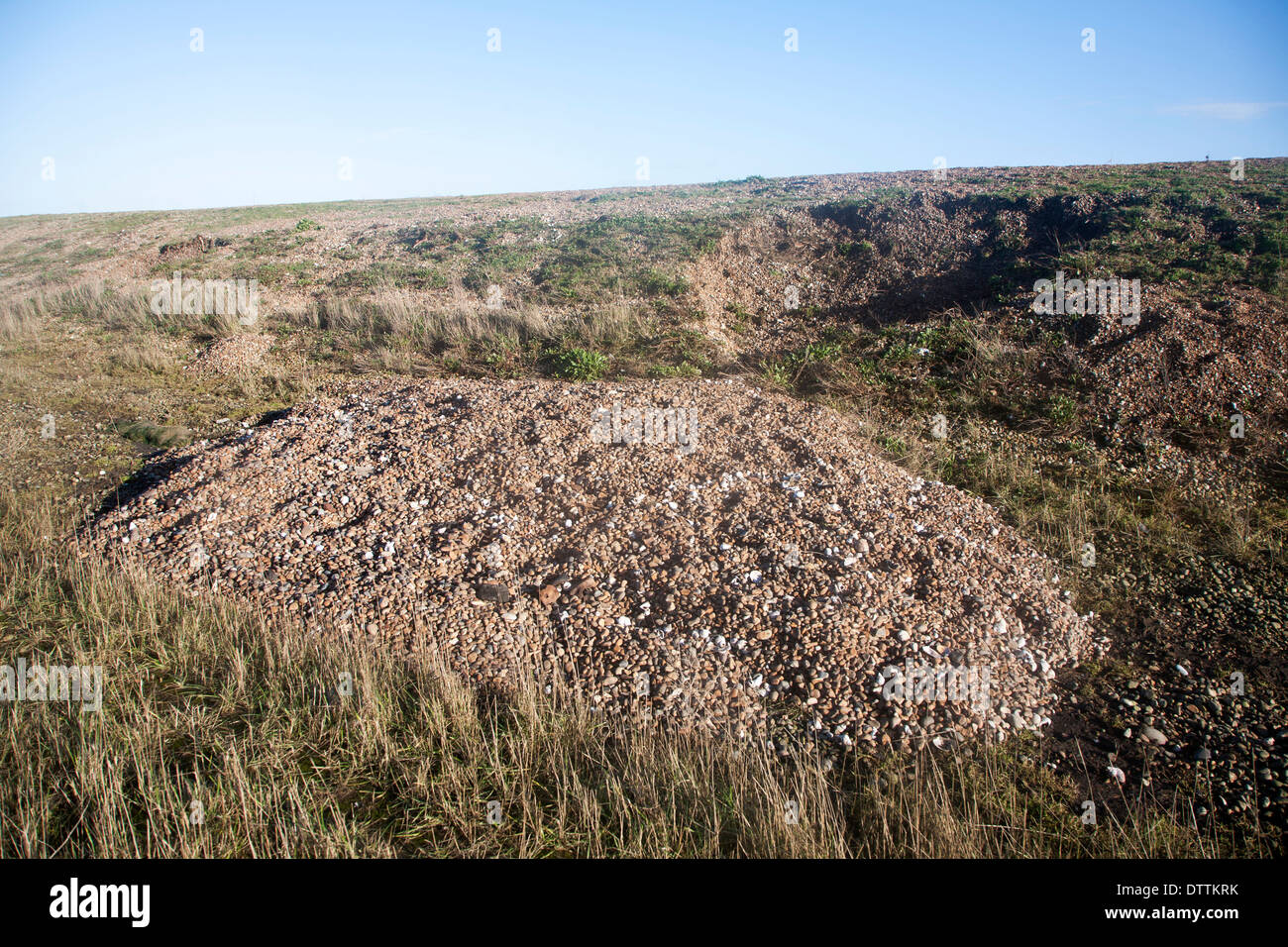 A blow out in a shingle ridge at the head of the beach following winter ...