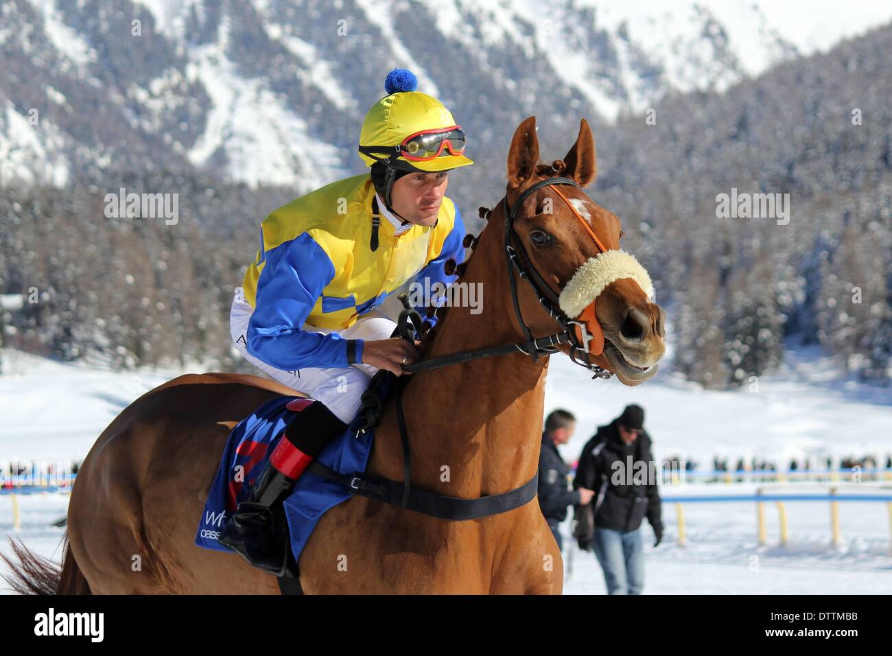 White turf hi-res stock photography and images - Alamy