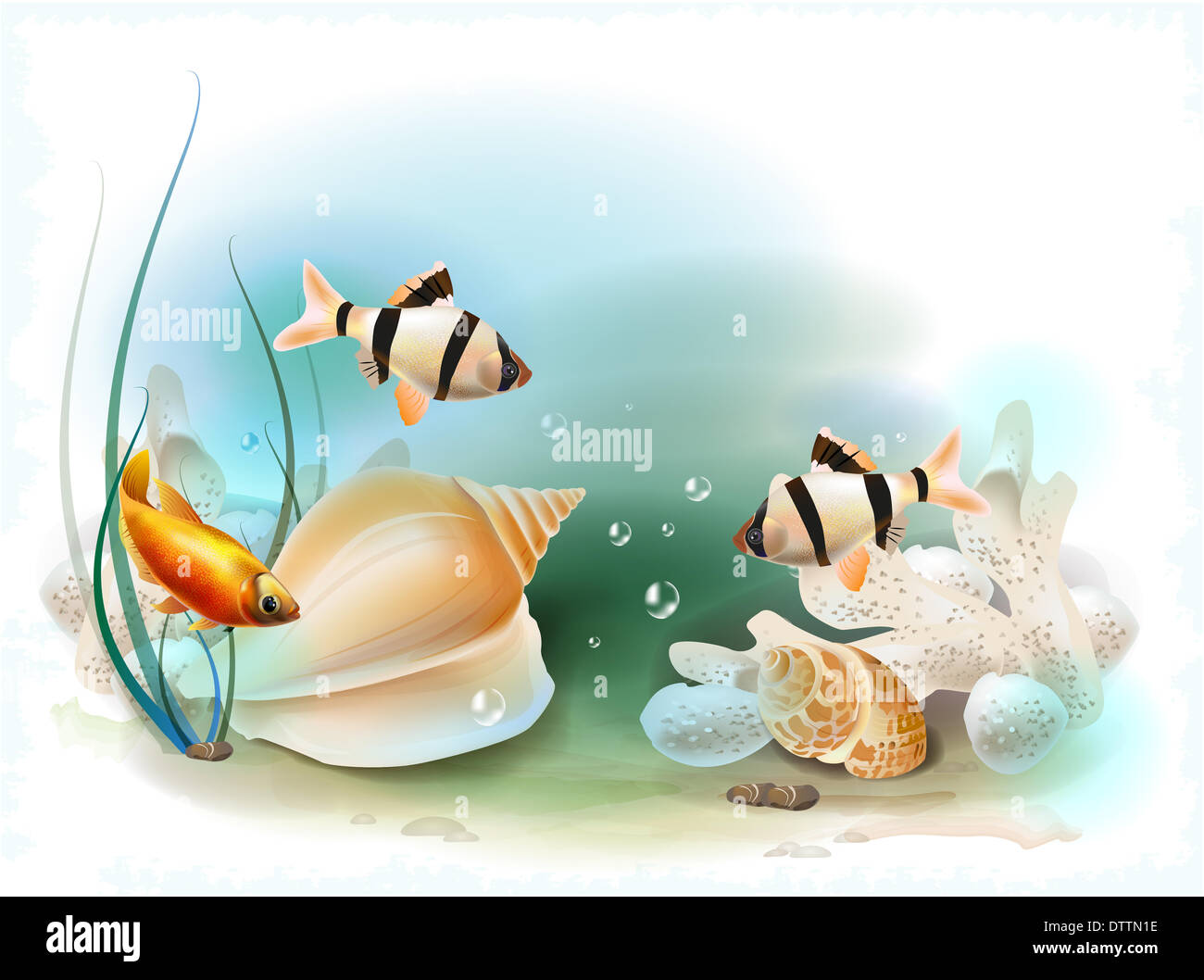 Undersea world ocean Cut Out Stock Images & Pictures - Alamy