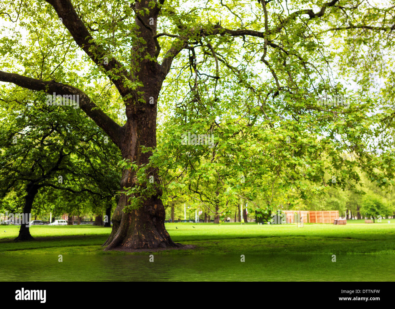 Spring refreshment hi-res stock photography and images - Alamy