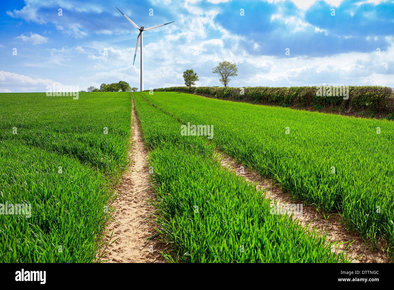 Industrial nature uk environment hi-res stock photography and images ...
