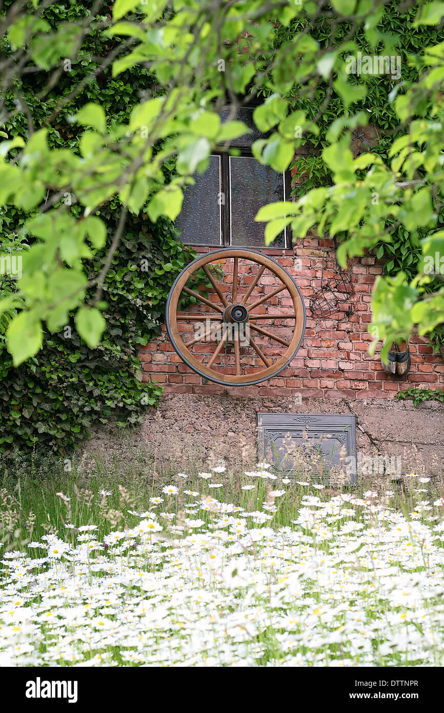 Daisy wheel hi-res stock photography and images - Alamy