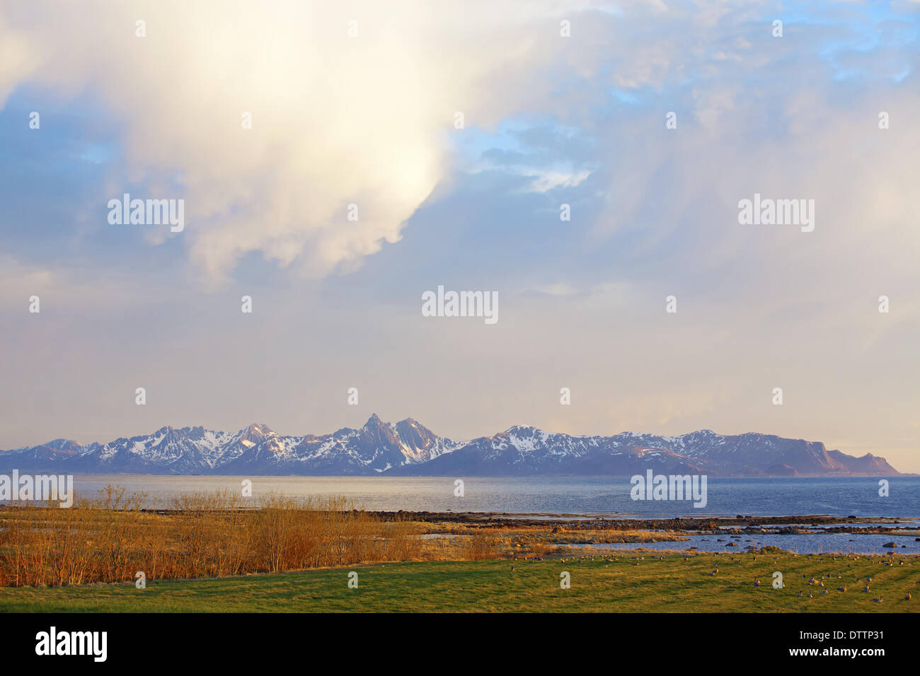 Midnight coast hi-res stock photography and images - Alamy