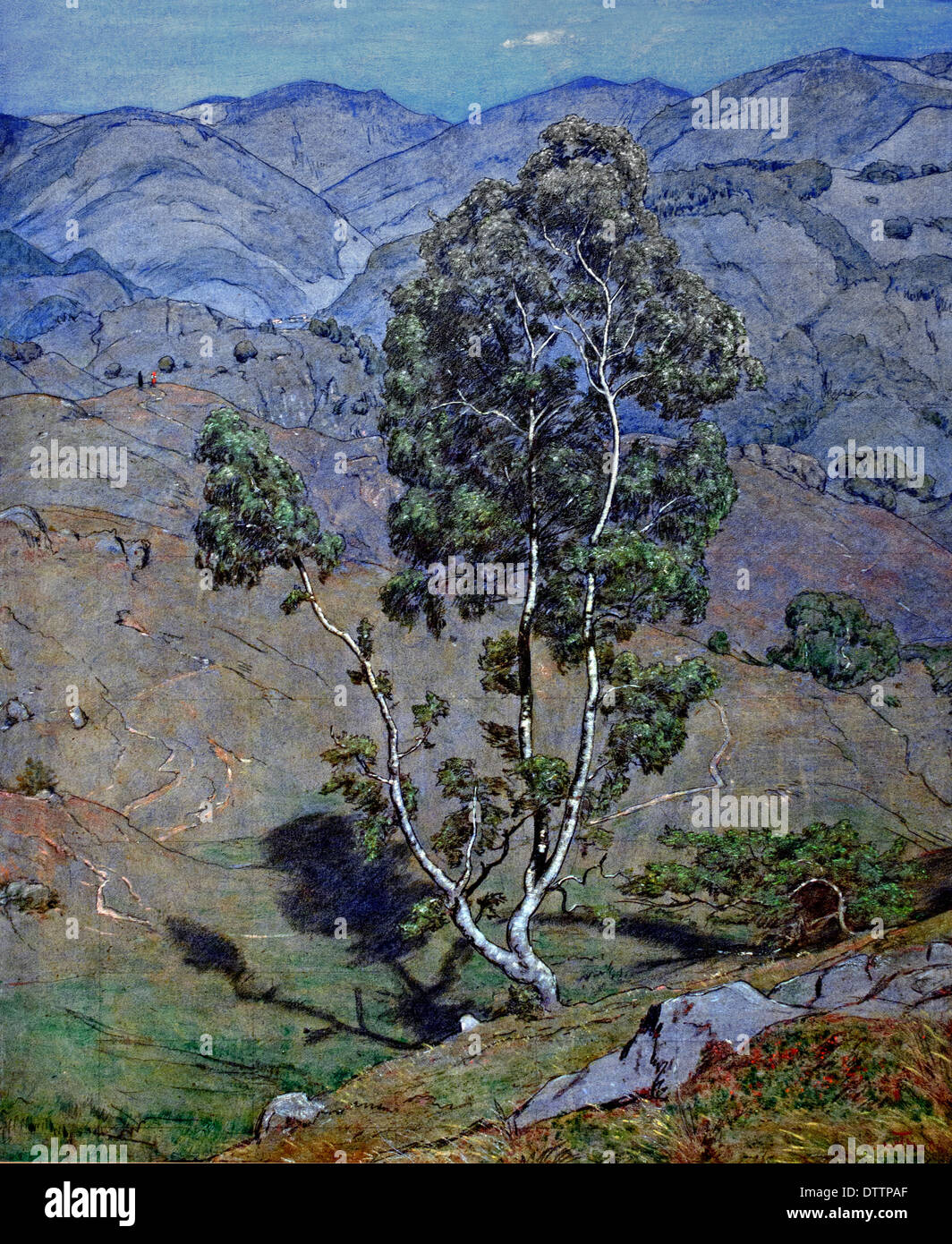 Birke hi-res stock photography and images - Alamy