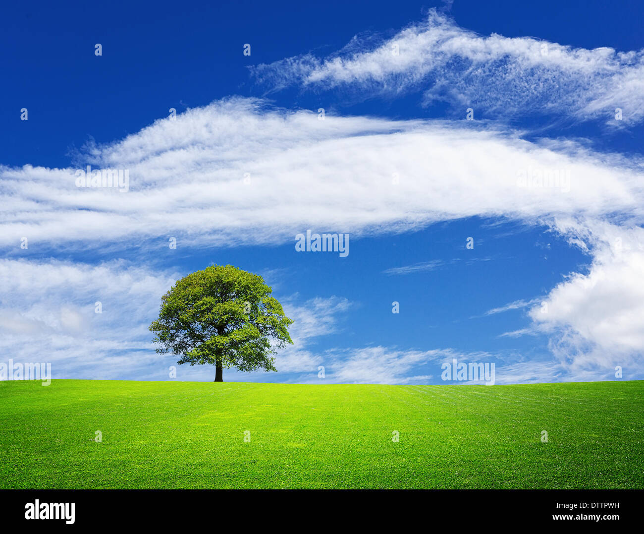 Green nature landscape hi-res stock photography and images - Alamy