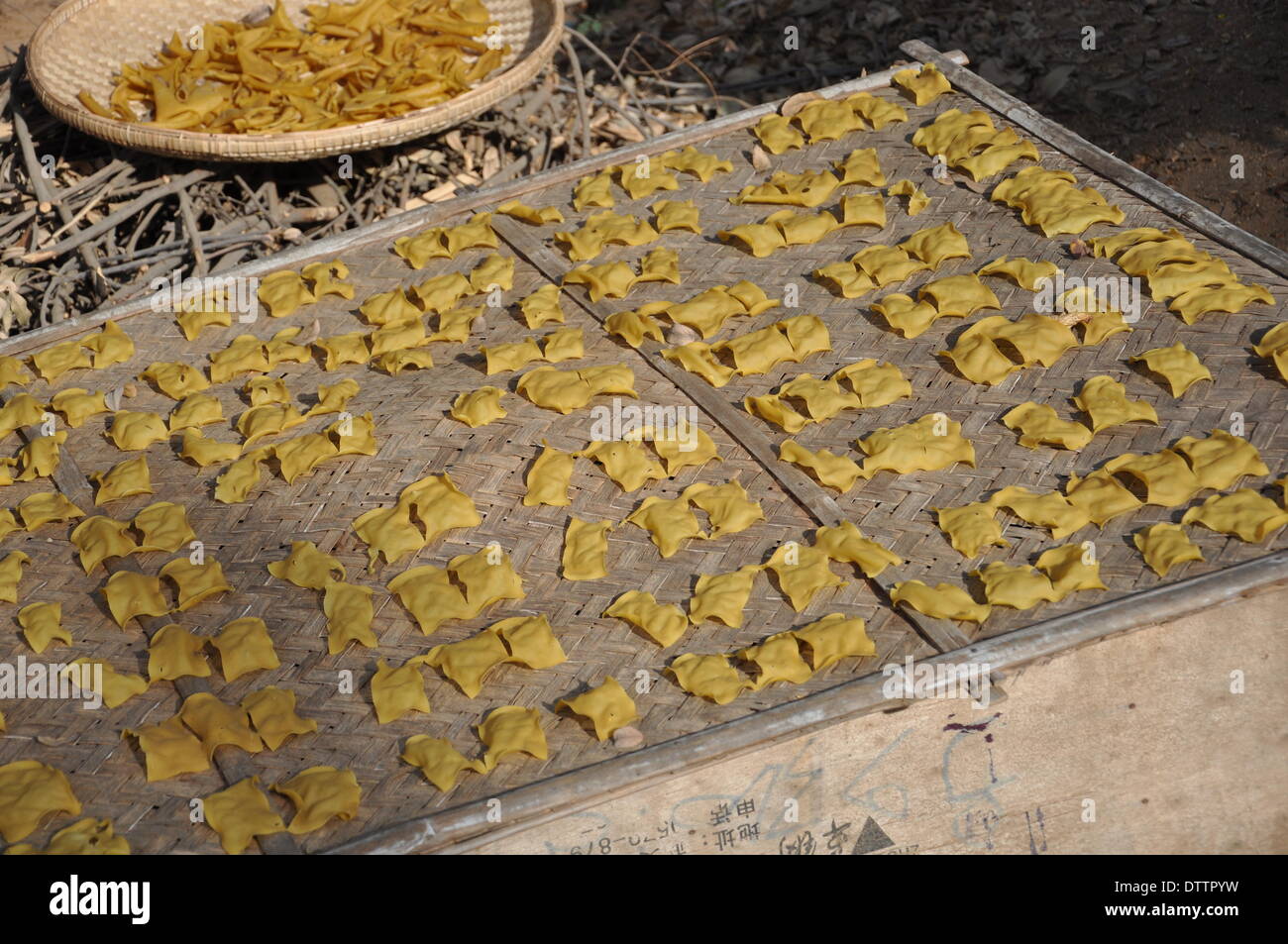 drying food in burma Stock Photo - Alamy