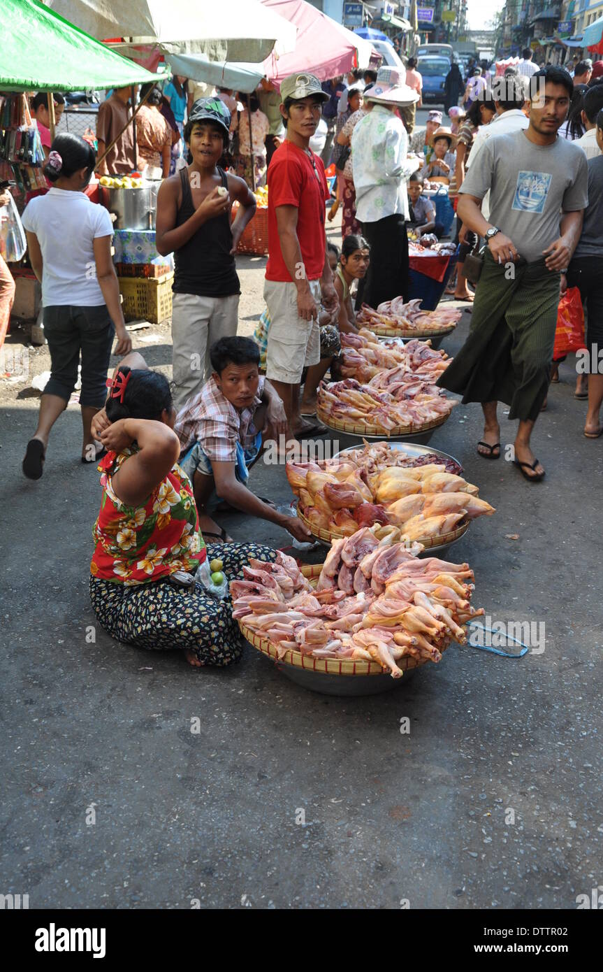 chicken on a burmese market in yangon Stock Photo - Alamy