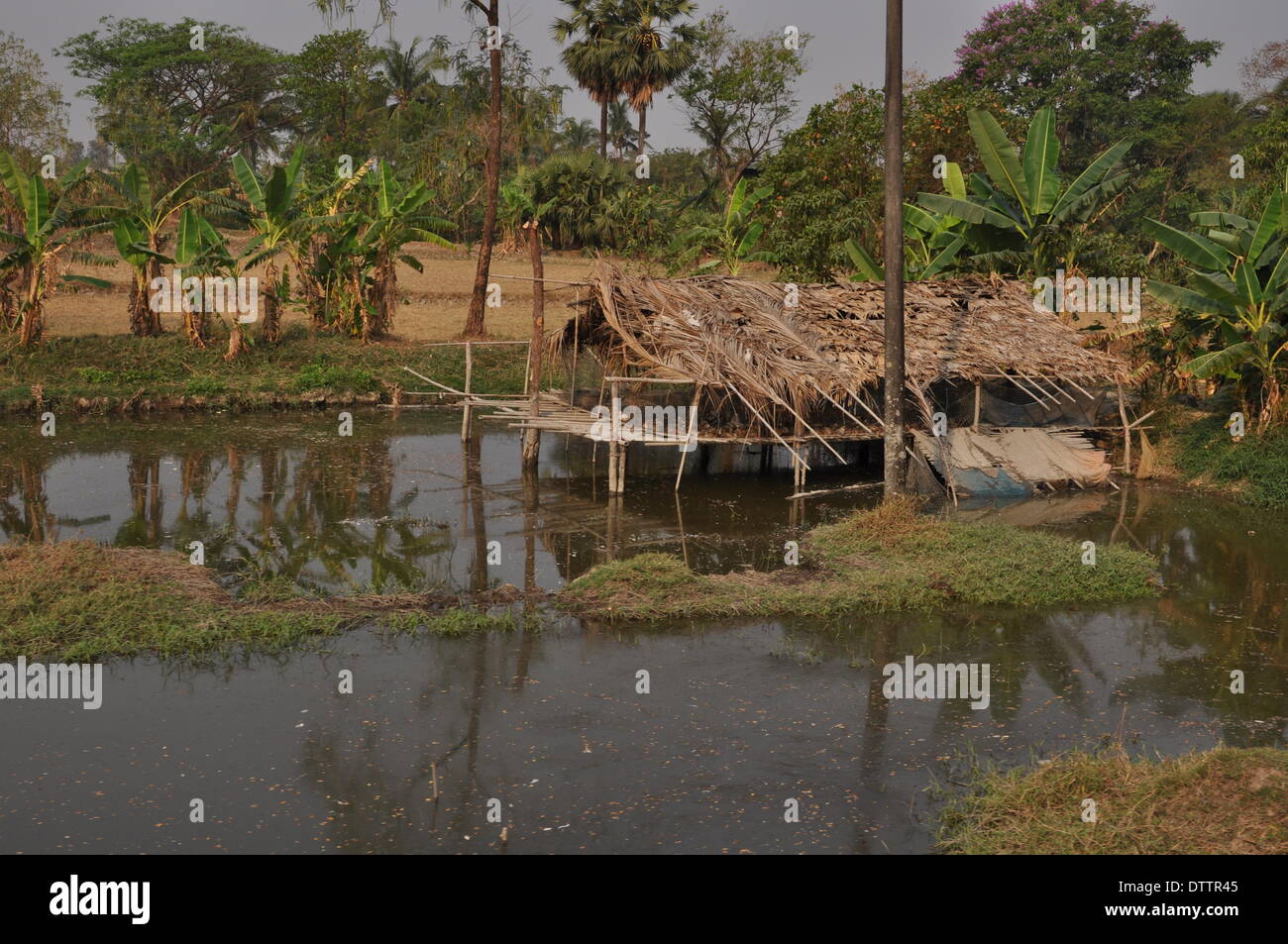 Asien hut hi-res stock photography and images - Alamy