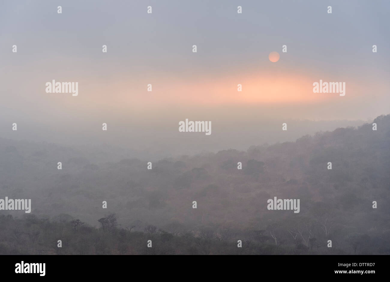 Sun partly obscured by cloud over thornveld, Zululand, South Africa ...