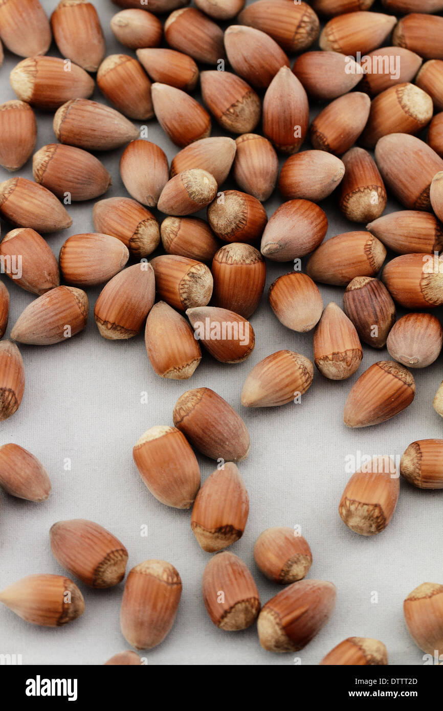 Hazelnut close up isolated (background Stock Photo - Alamy