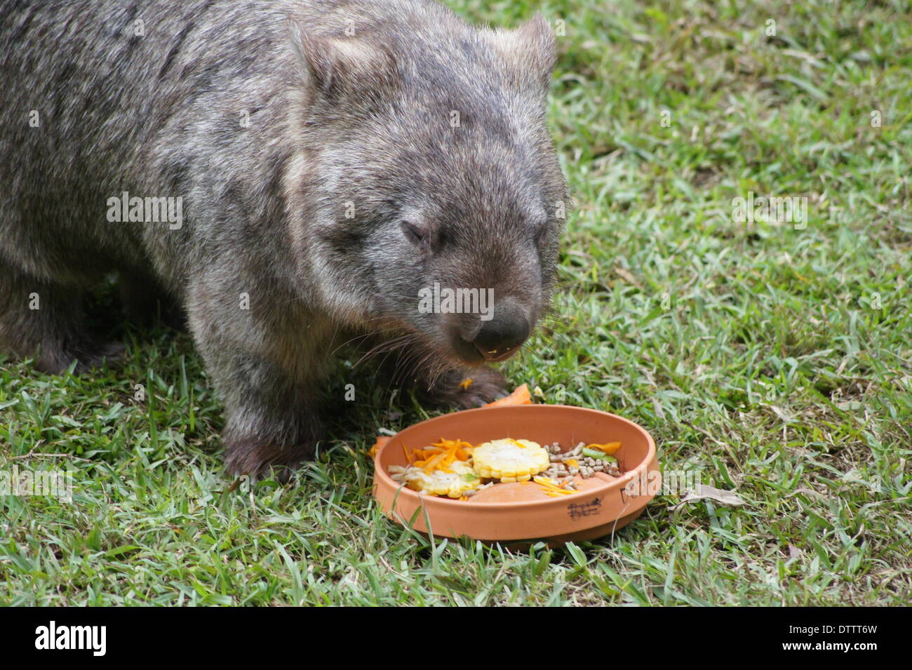 Aborigenes australia hi-res stock photography and images - Alamy