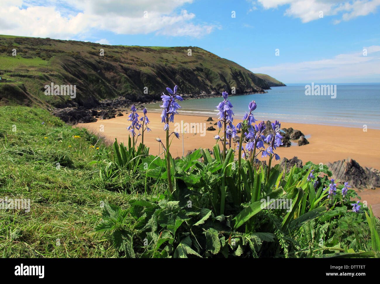 Putsborough beach hi-res stock photography and images - Alamy