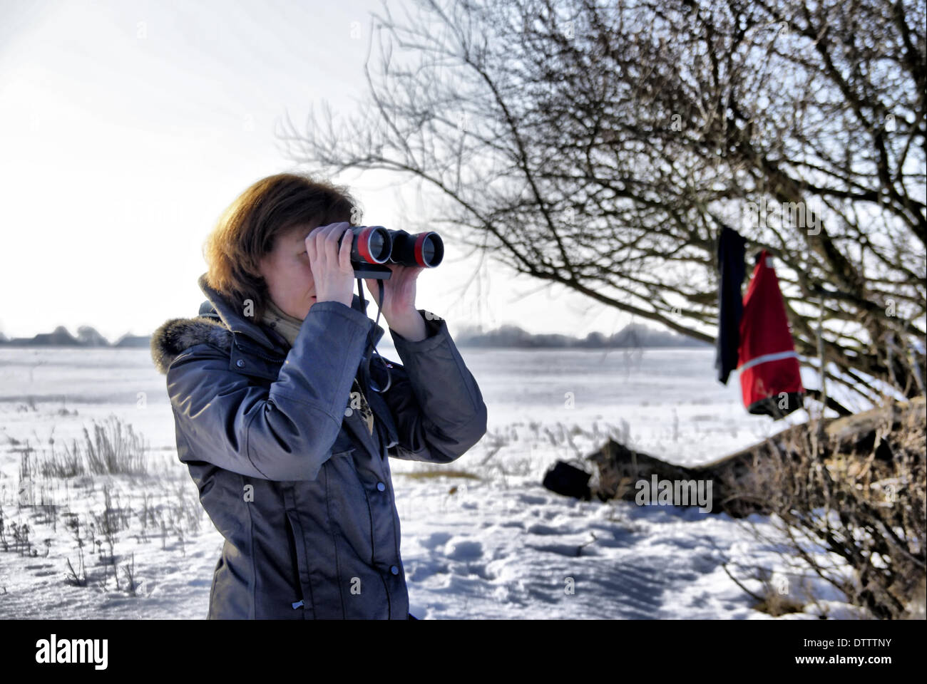 Looking into the distance Stock Photo - Alamy