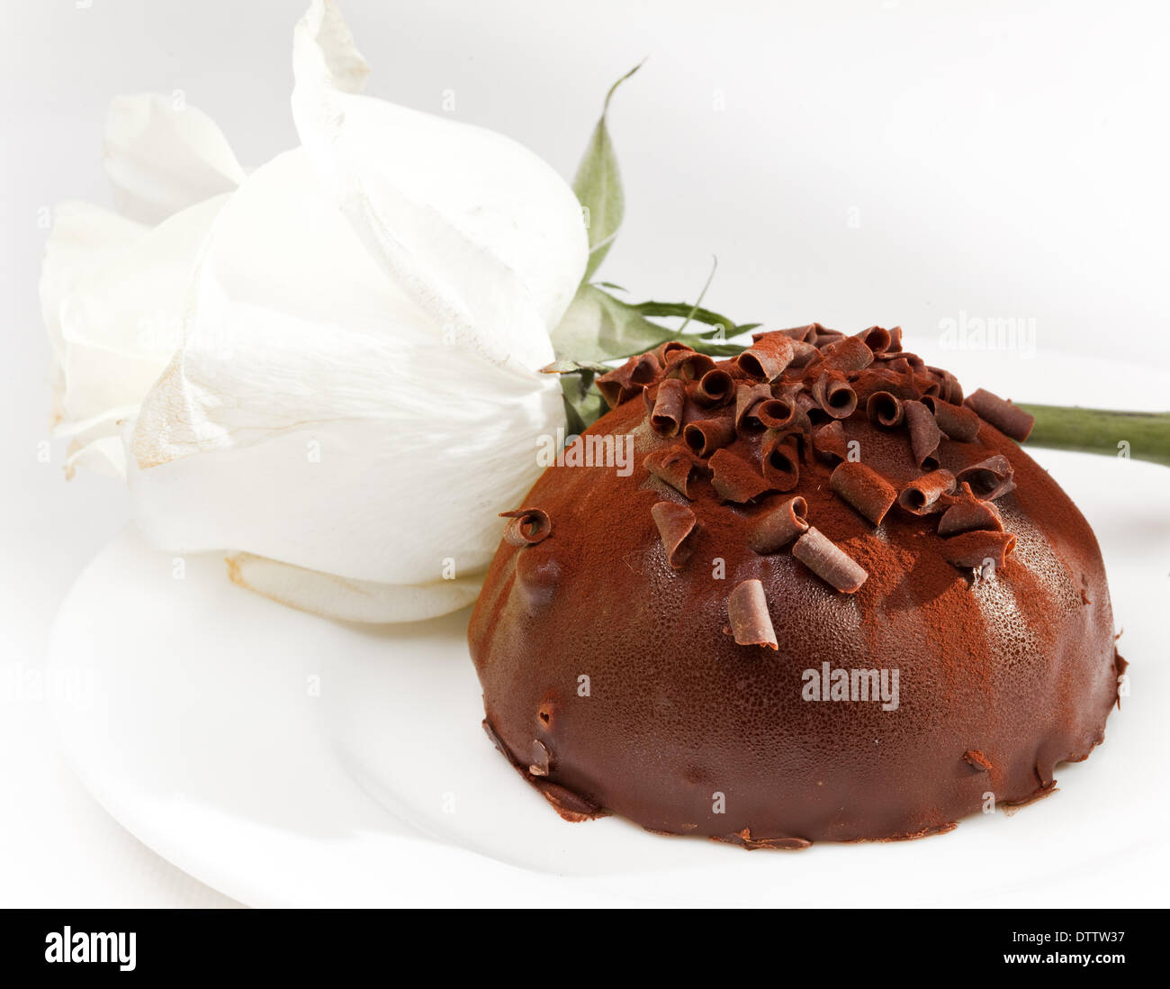 Chocolate cake and white rose Stock Photo - Alamy