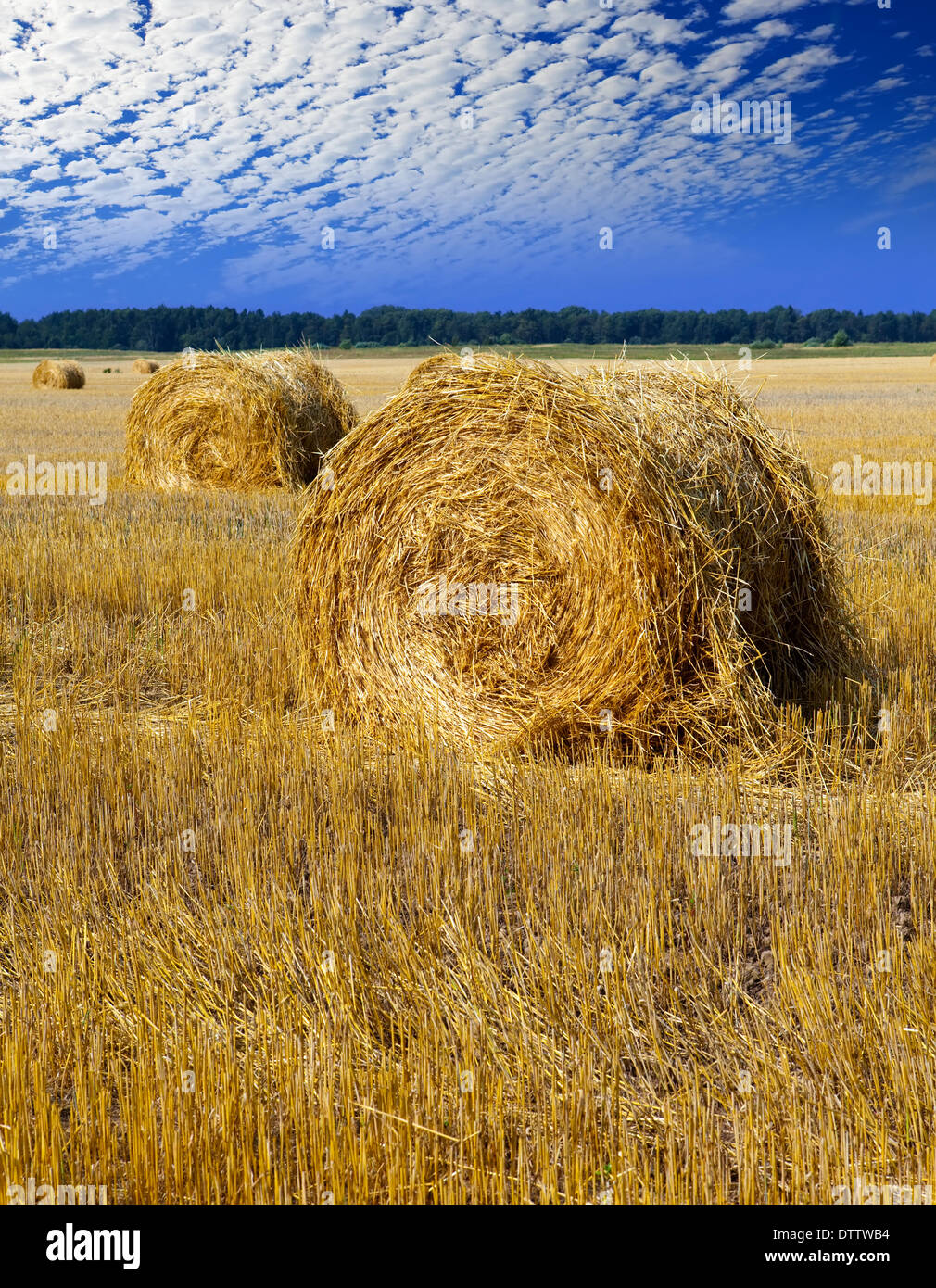 Weed stack hi-res stock photography and images - Alamy