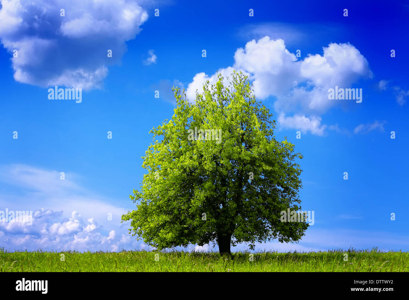 Green environment hi-res stock photography and images - Alamy