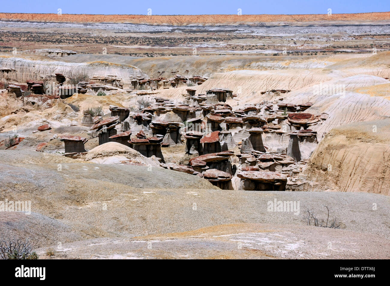 Treasures of New Mexico Stock Photo - Alamy