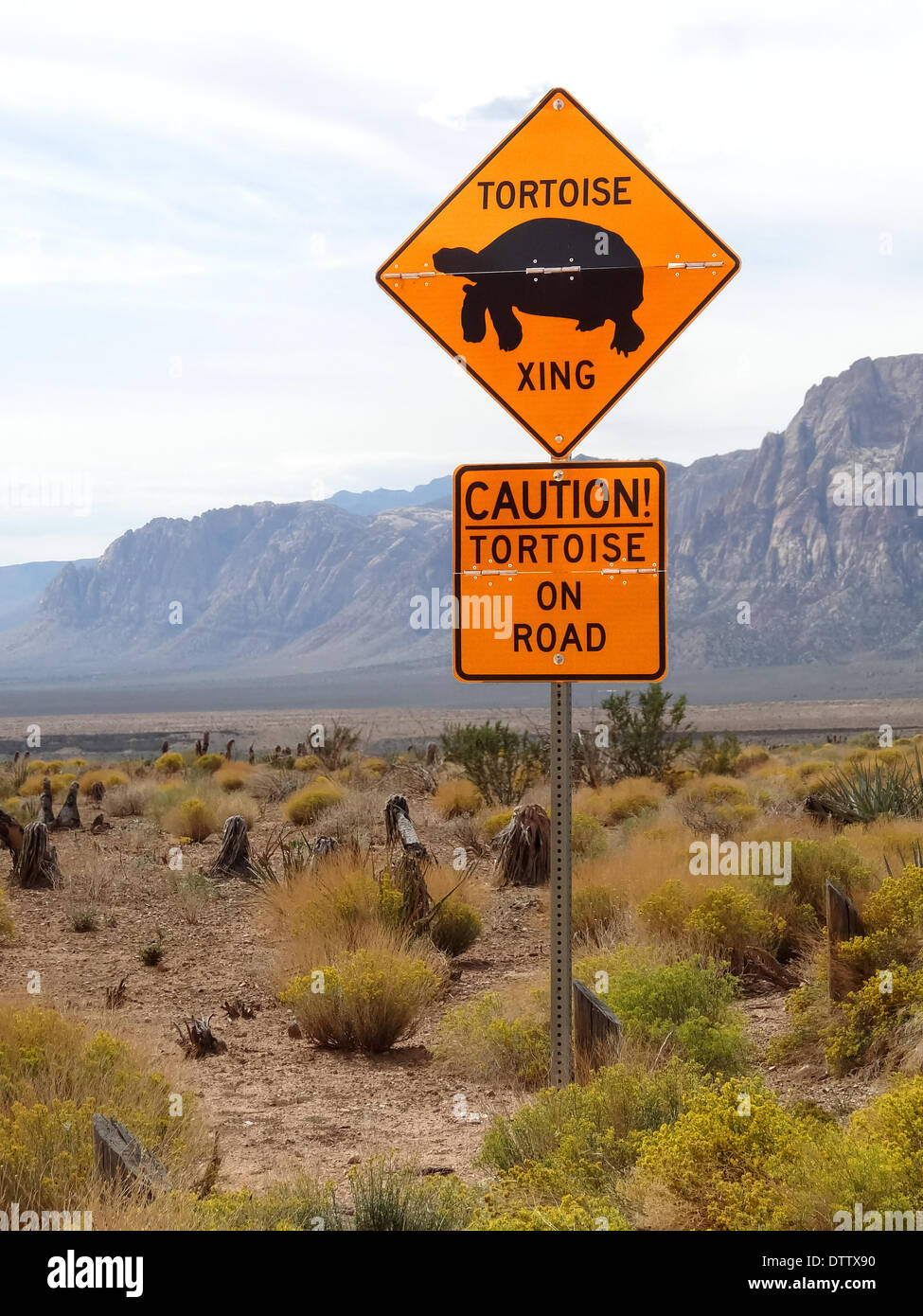 Tortoise warning road sign hi-res stock photography and images - Alamy