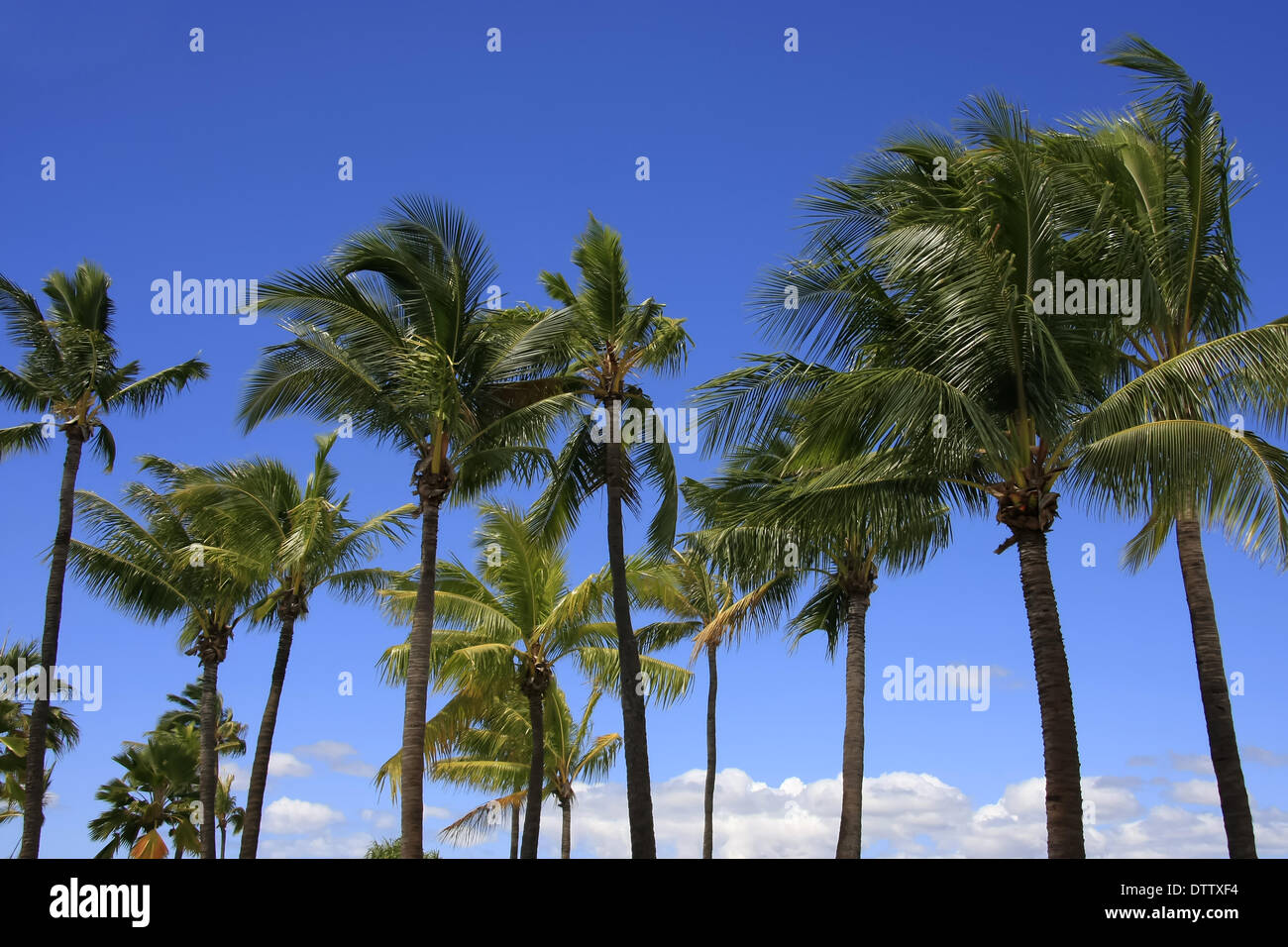 Nature landscape with the sky in summer trees islands hi-res stock ...